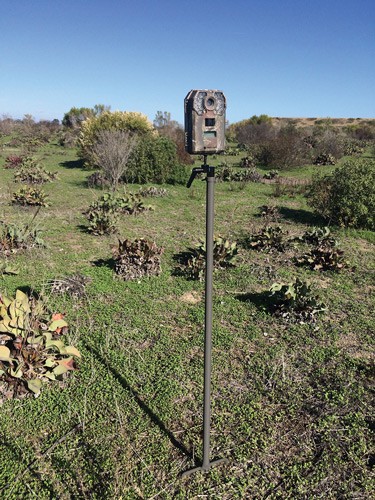 STEALTH CAM TRAIL CAM MOUNTING STICK 34" HIGH STEEL